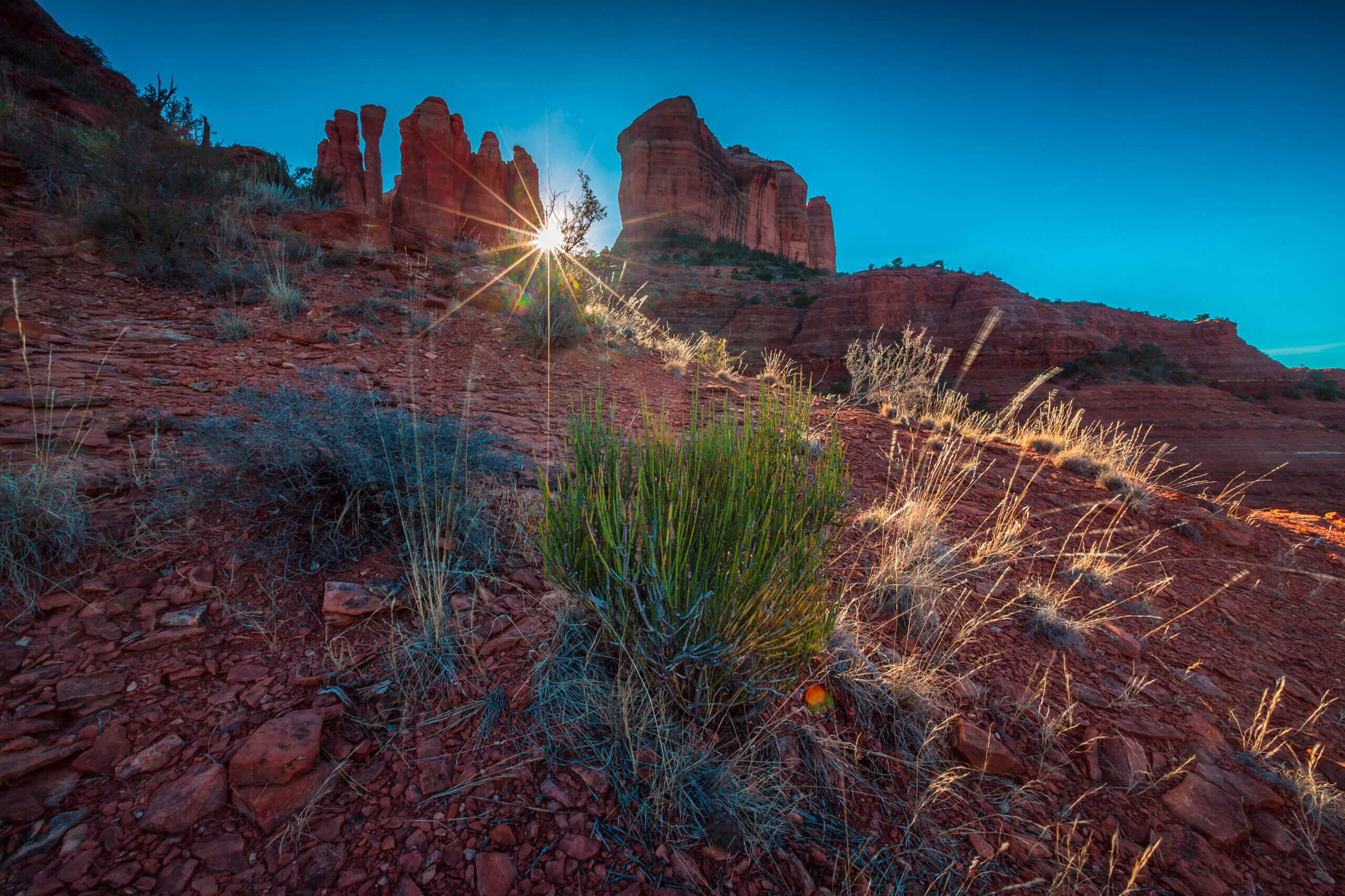 5 Reasons to Work with a Local Delivery Partner in Arizona - Xcel ...